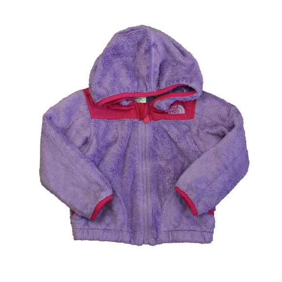The North Face | Jackets & Coats | The North Face Girls Purple Fleece ...